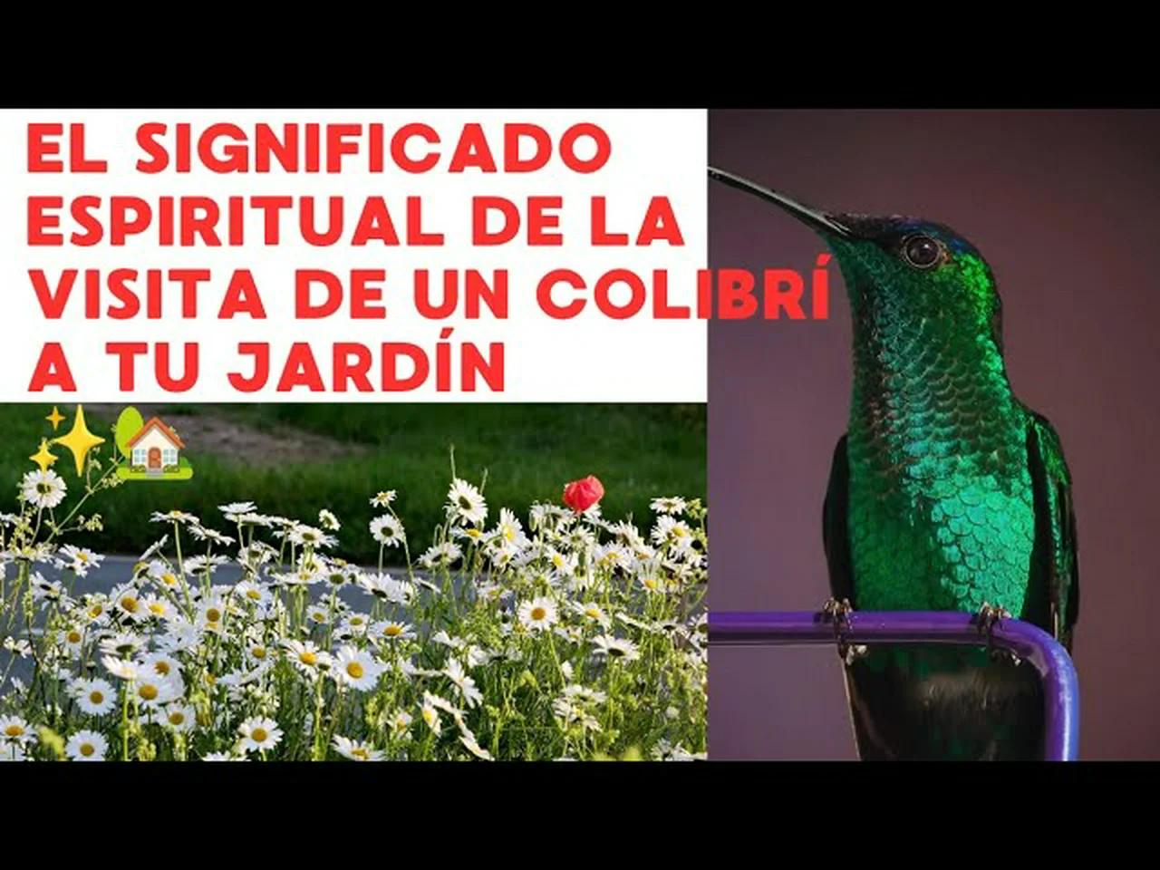 El Significado Espiritual de la Visita de un Colibrí a tu Jardín 🏡 🌻 # ...