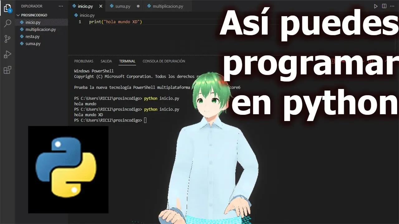 Como programar en Python para principiantes
