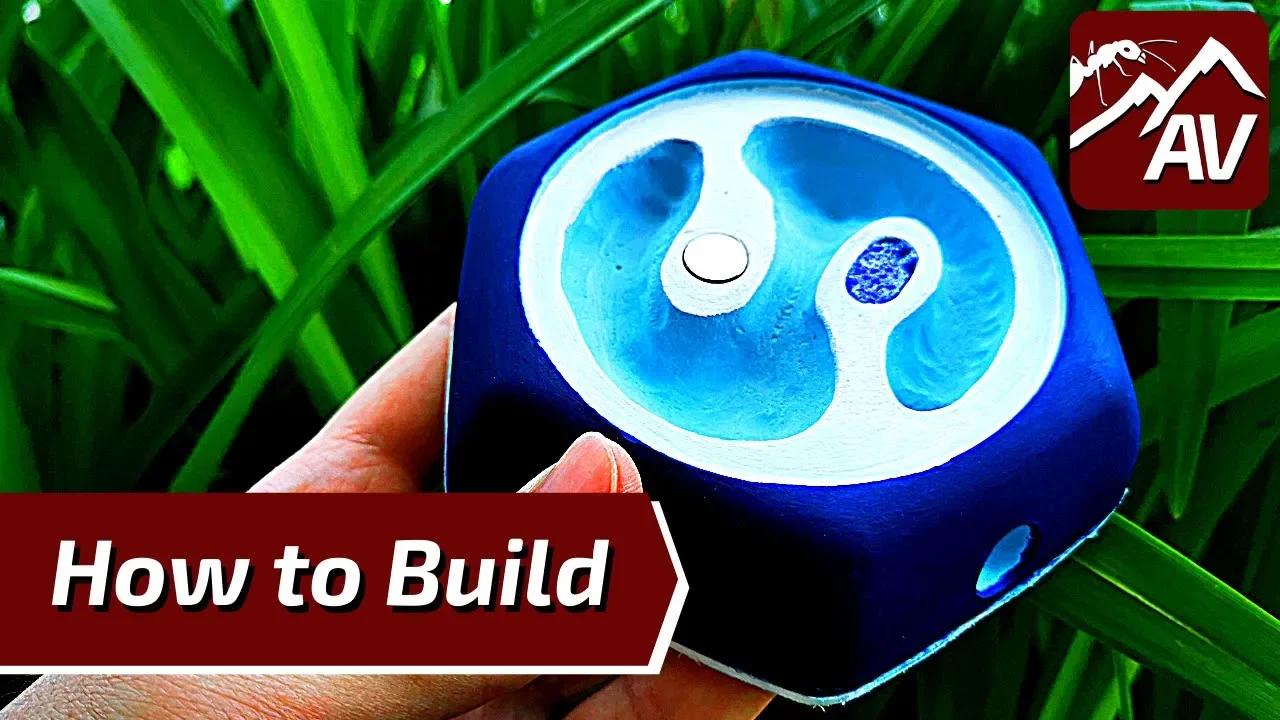 HOW TO BUILD an ANT FARM: Make a DIY Plaster Ant Nest (Formicarium)