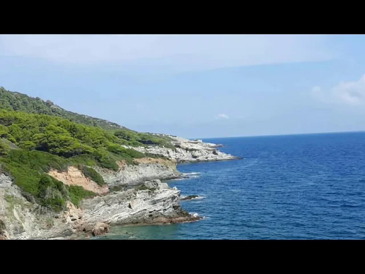 Ανδρέας Στάμος - Ποιος δεν έχει αγαπήσει