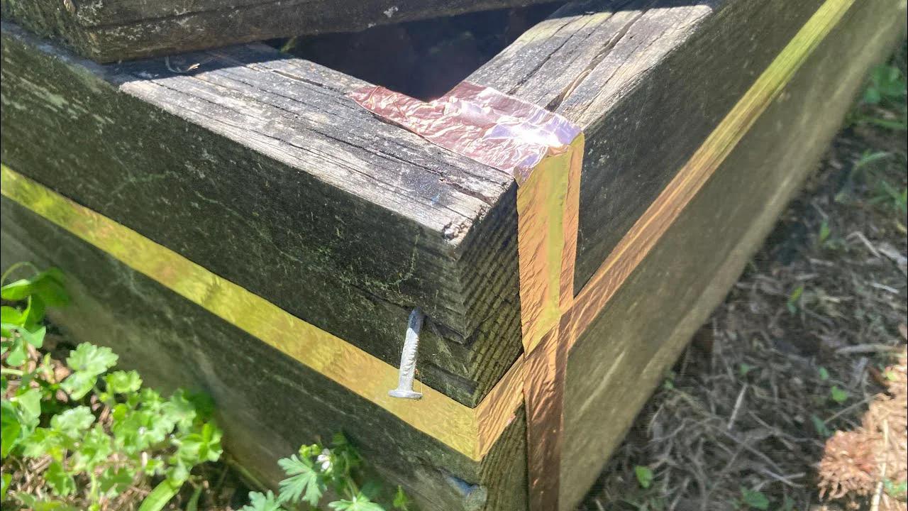 How to repel slugs with copper #electroculture #copper #slugs