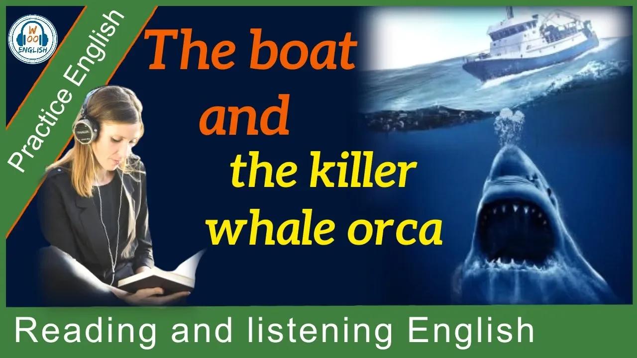 English story for beginners ★ The boat and the killer whale orca