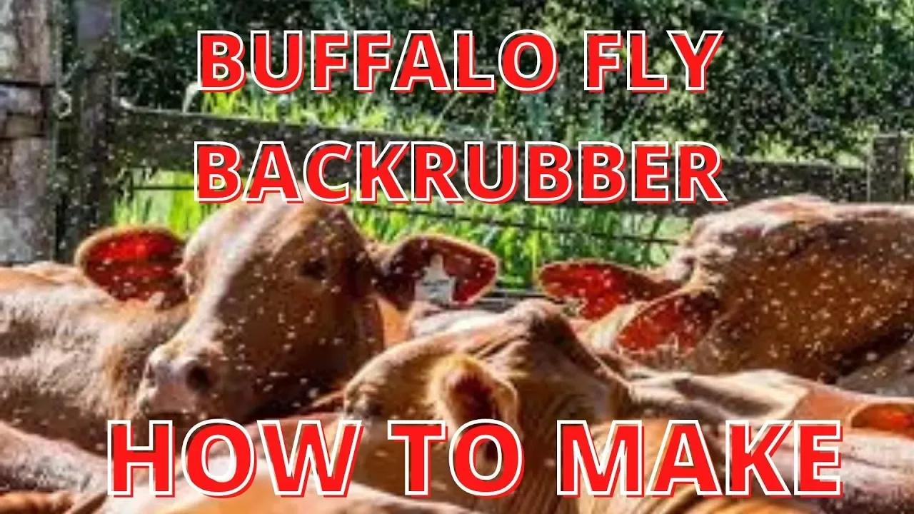 BUFFALO FLY BACKRUBBER. HOW TO MAKE.