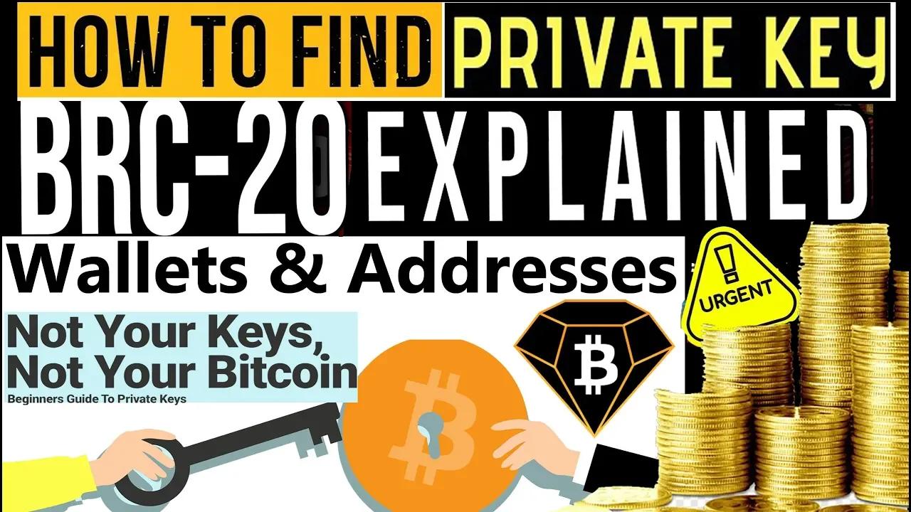 How To Find private key of BTC BRC 20 Account Address in Unisat Wallet ...