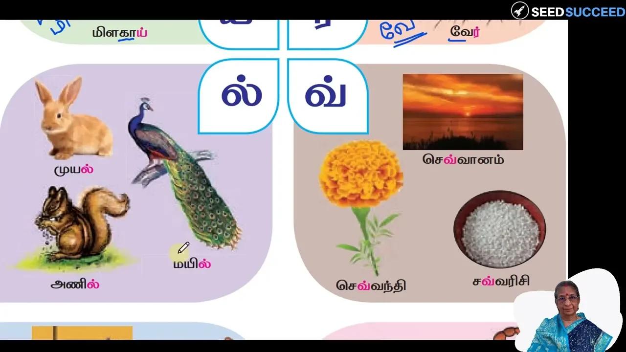 Tamil Reading course 17 vocabulary