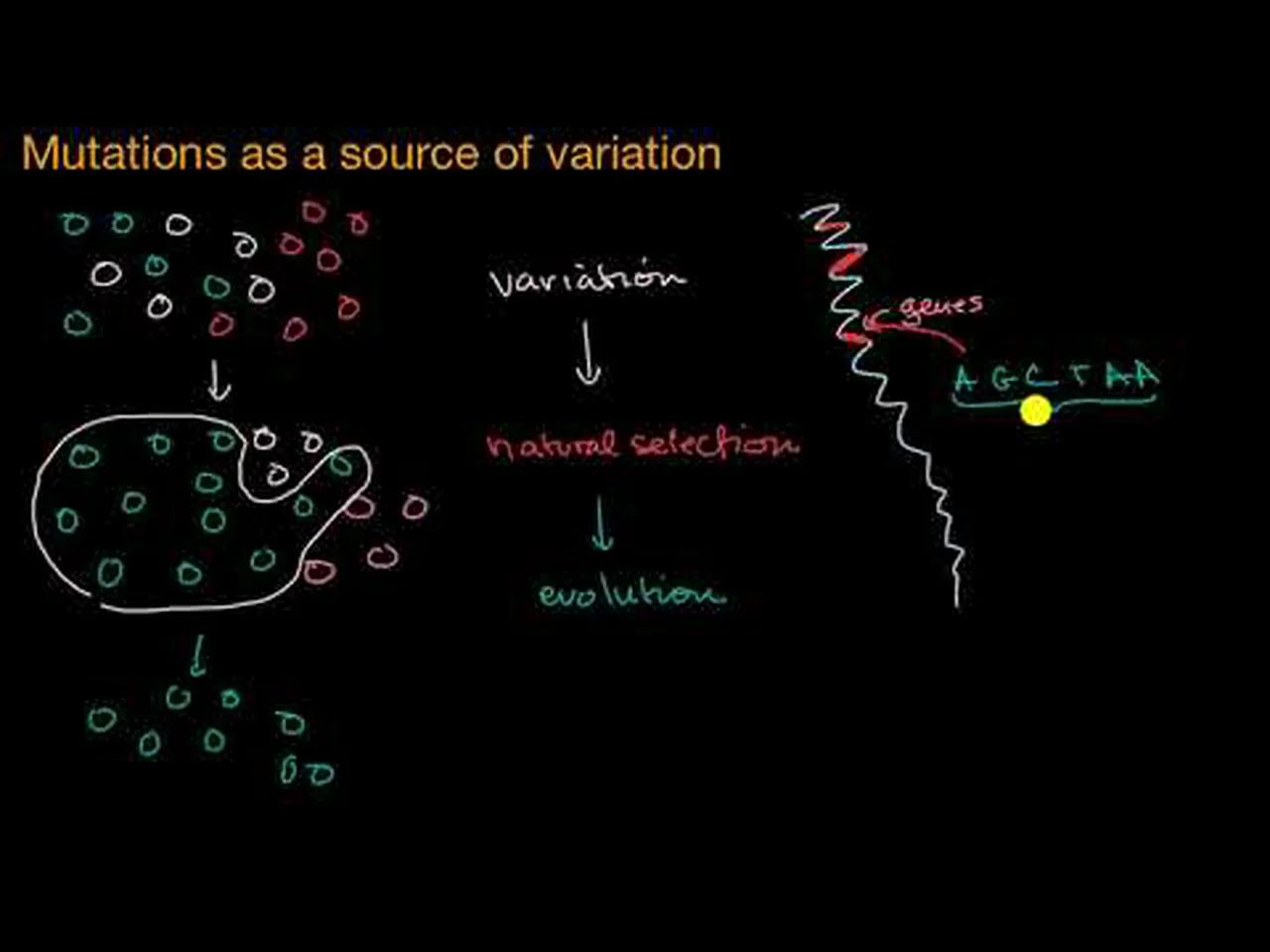 Mutation as a source of variation | Gene expression and regulation | AP ...