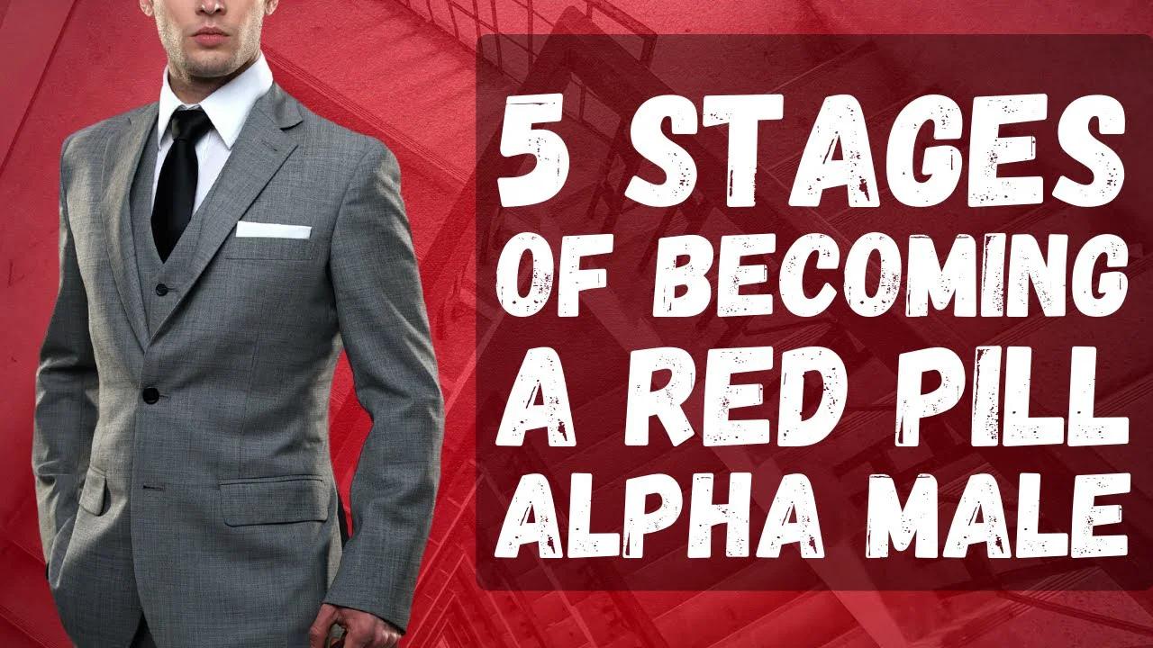 5 Stages of Becoming a Red Pill Alpha Male | How to Become Alpha