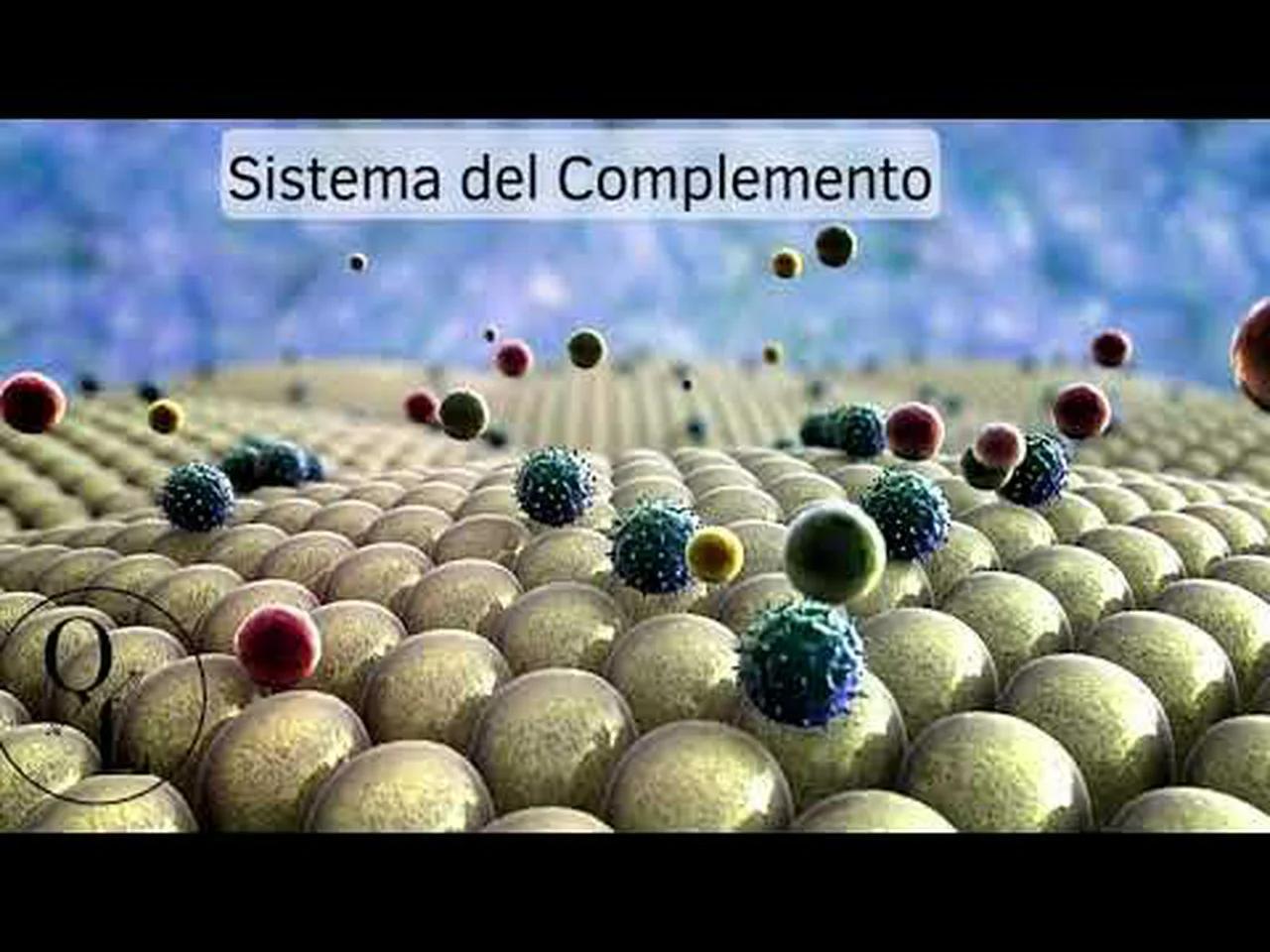 5. Sistema del Complemento