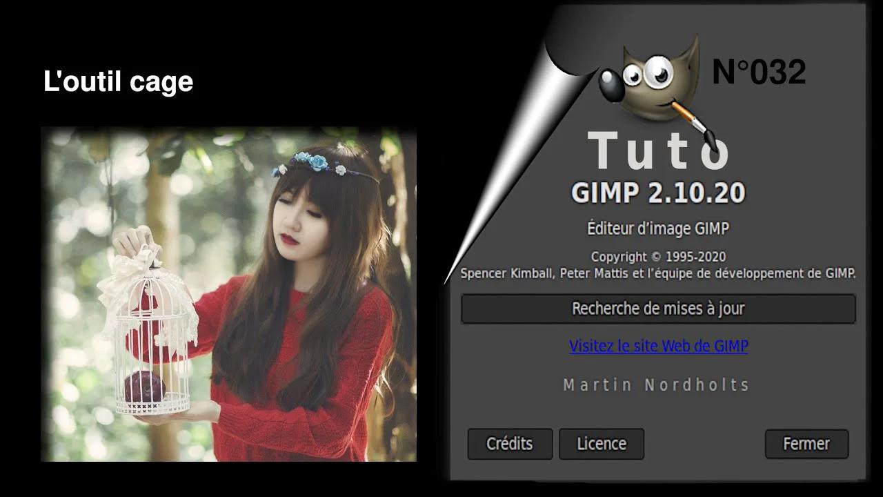 Tuto Gimp 2 10 20 pour débutant – 032 – L’outil cage