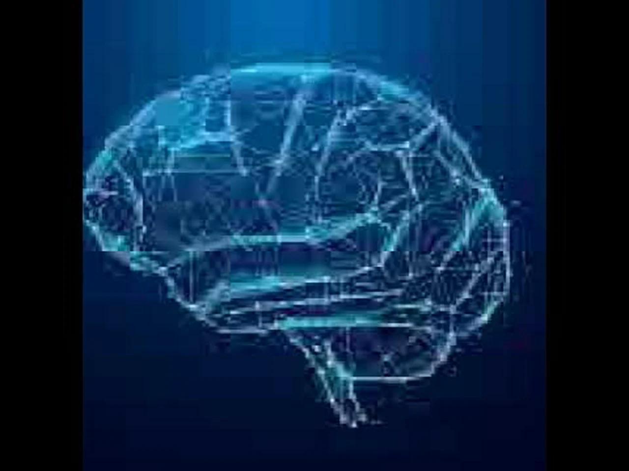 Scientists unveil detailed cell maps of the human brain and the ...
