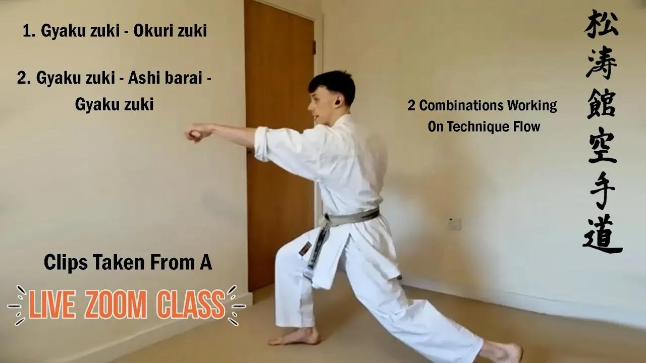 30 Minute Shotokan Karate Follow Along Class Technique Flow