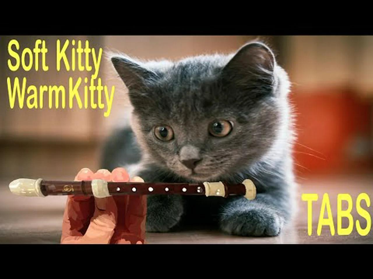 How to Play Soft Kitty Warm Kitty on the Recorder