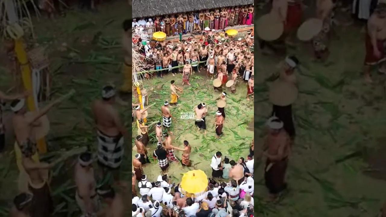 Perang Pandan Tenganan Dauh Tukad #PerangPandan #MekareKare # ...