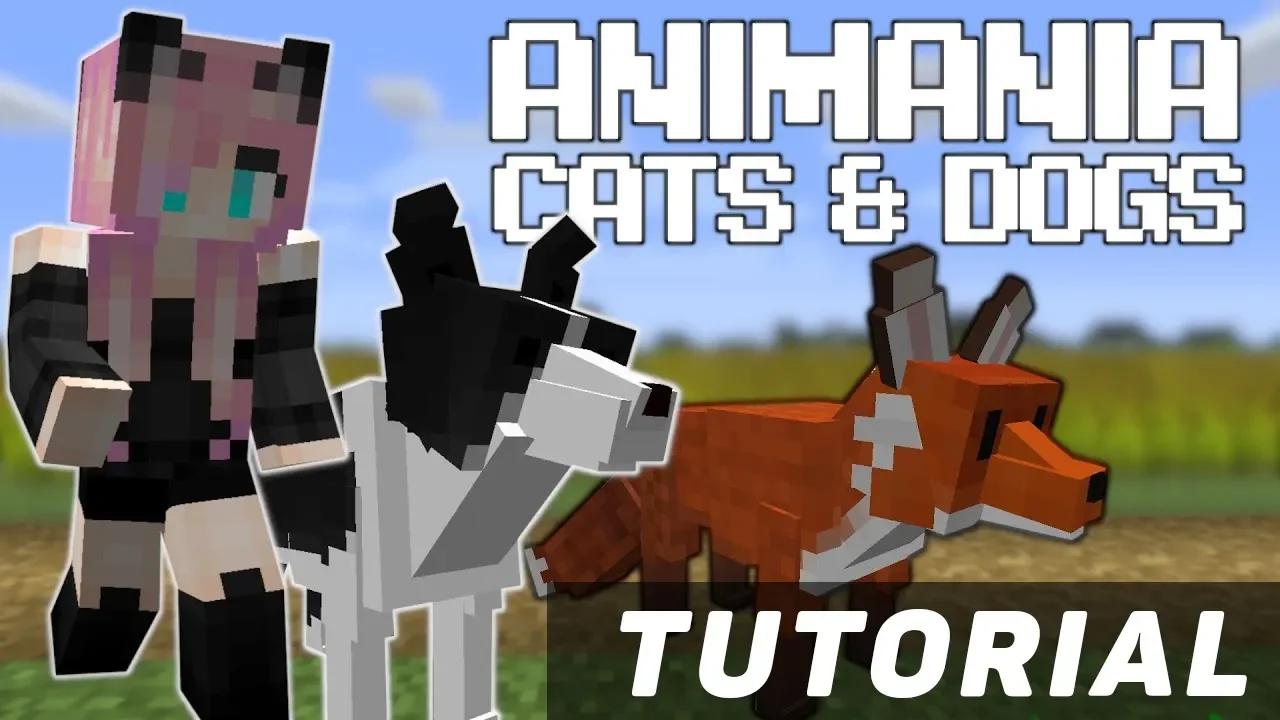 Animania Cats & Dogs. Tutorial / Guide 1.12.2 (minecraft java edition)
