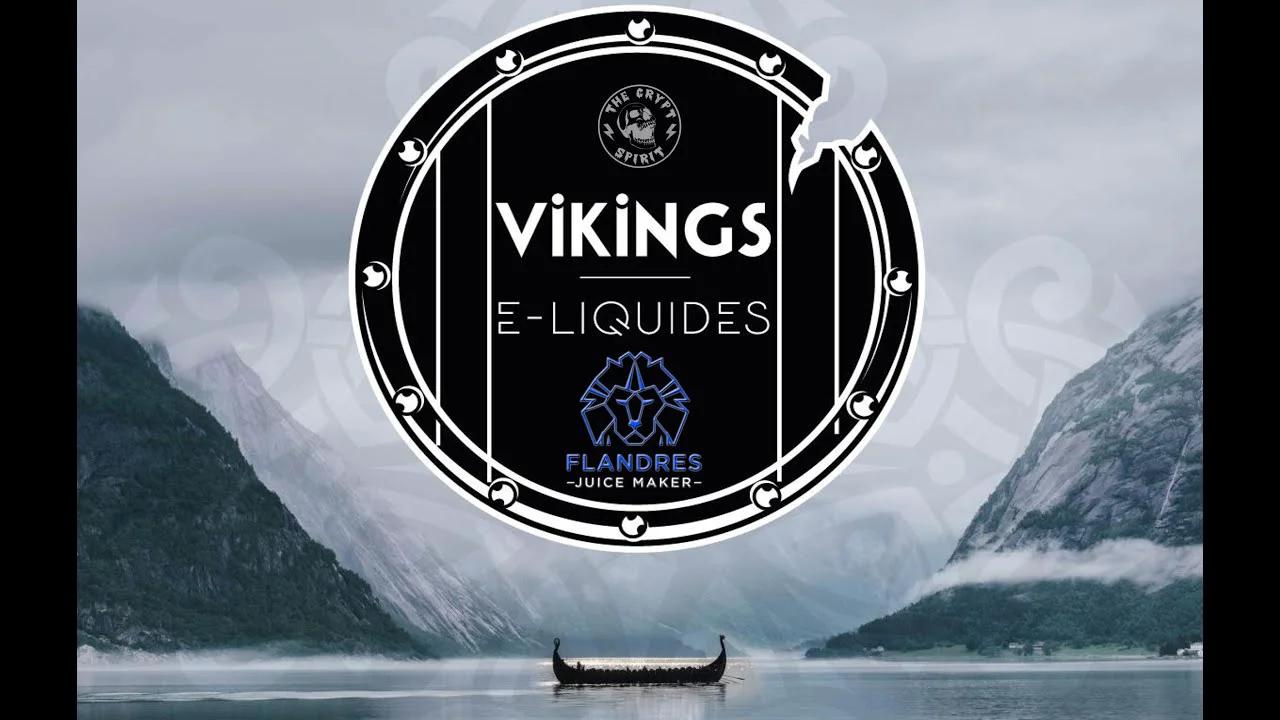 VIKINGS gamme by FLANDRES Juice Maker