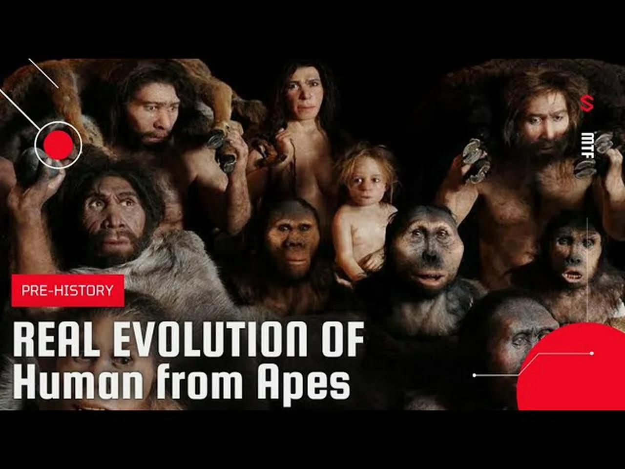 What was before history and where did humans come from 🤔🤔 || Human ...