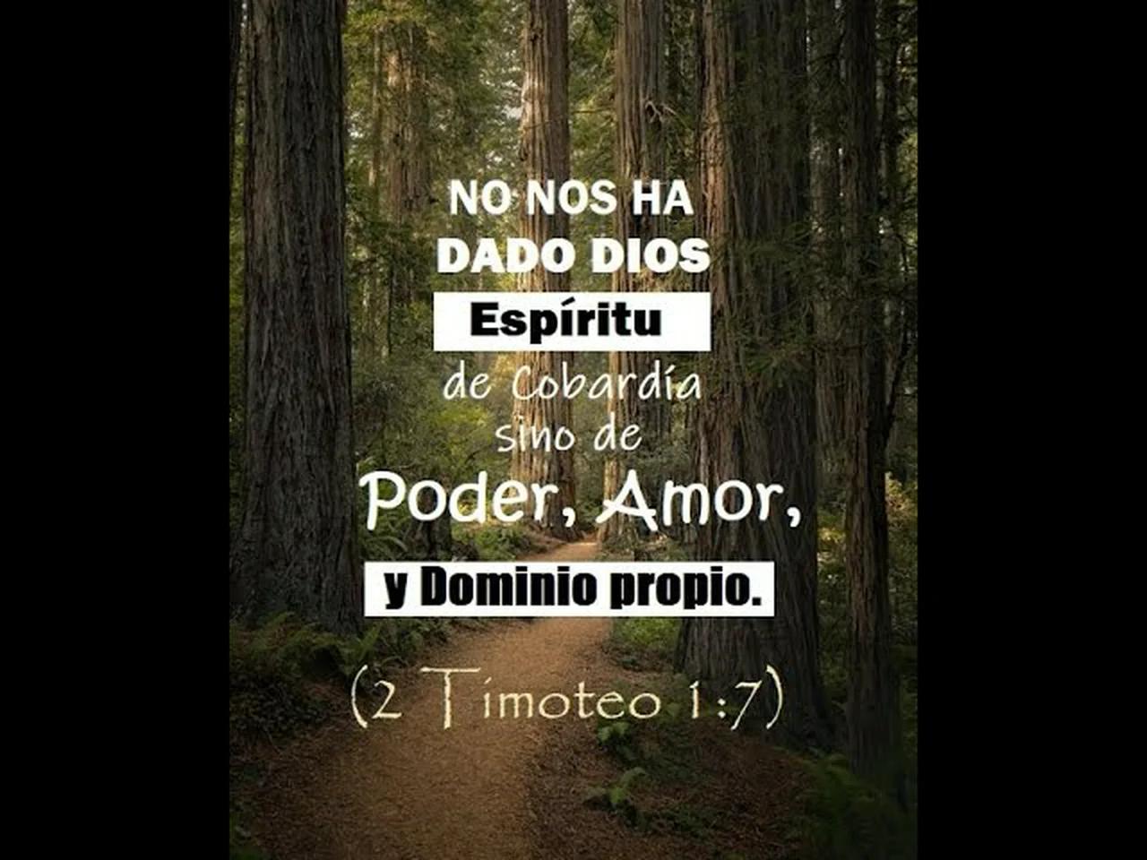 Dominio Propio. Qué es? y Cómo se obtiene?