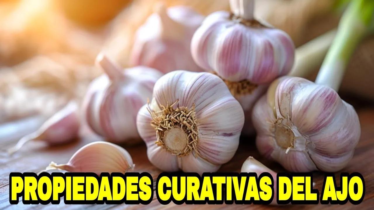 PROPIEDADES DEL AJO CONTRA ENFERMEDADES VIRALES