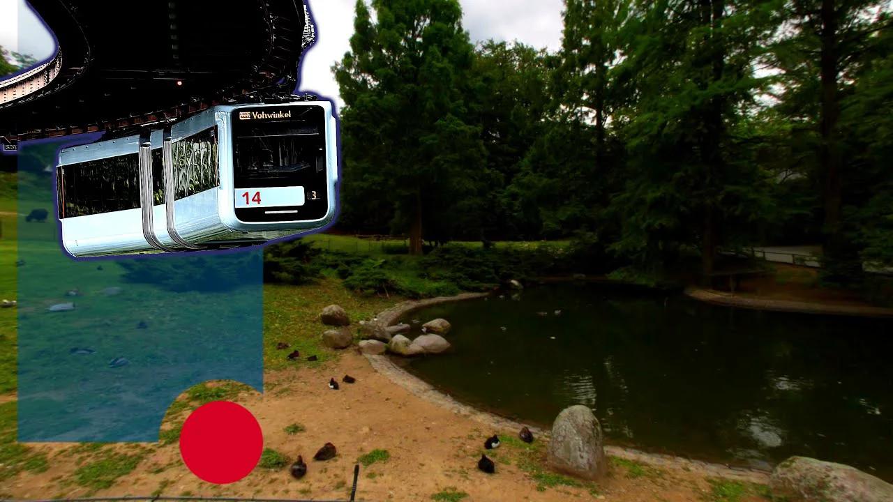 Wuppertal VR (Zoo) - Duck's Respite 8k 60fps VR180 360 3D