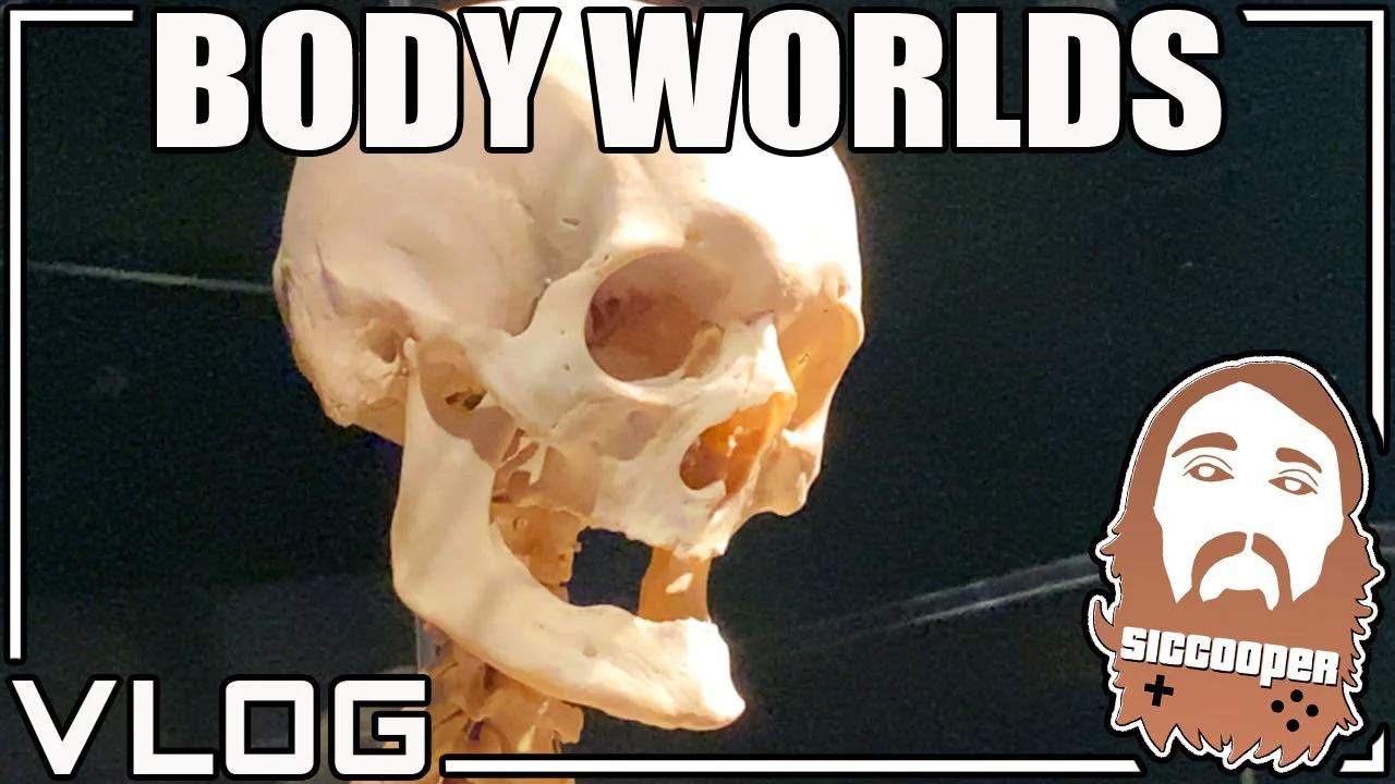 Goodwill Outlet, Video Game Store, & OMSI Body Works Exhibit! | SicCooper