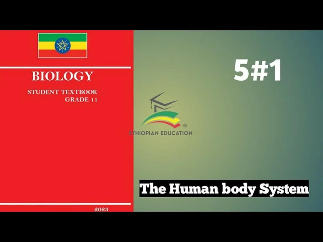 Ethiopian Grade 11 Biology 5#1 The Human Body system