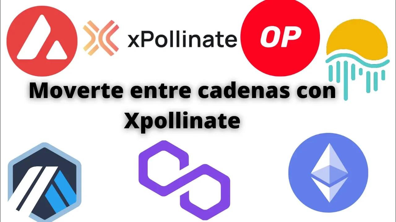 Futuro multicadena. Muevete con Xpollinate: Ethereum-Arbitrum-Optimism-Moonriver-Polygon y más