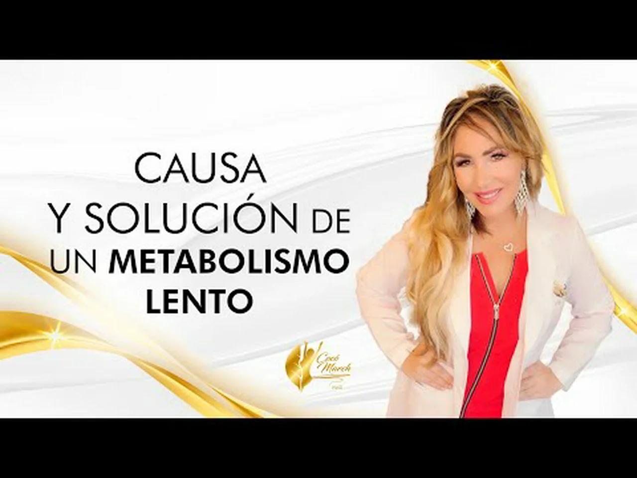 Causa Y Solución De Un Metabolismo Lento