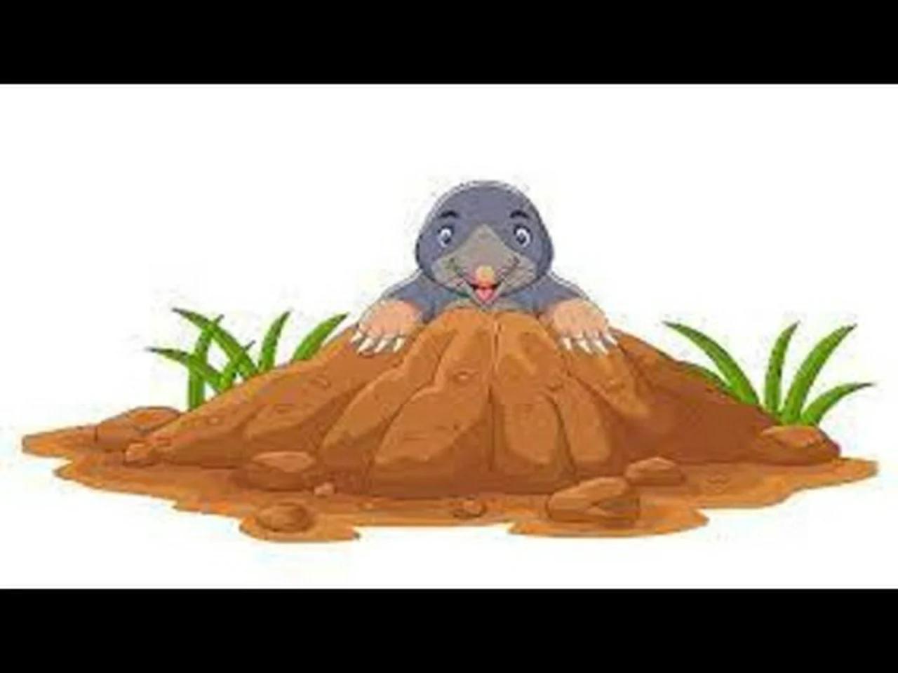 EL PERRO Y EL TOPO - LEYENDAS, FÁBULAS Y CUENTOS POPULARES