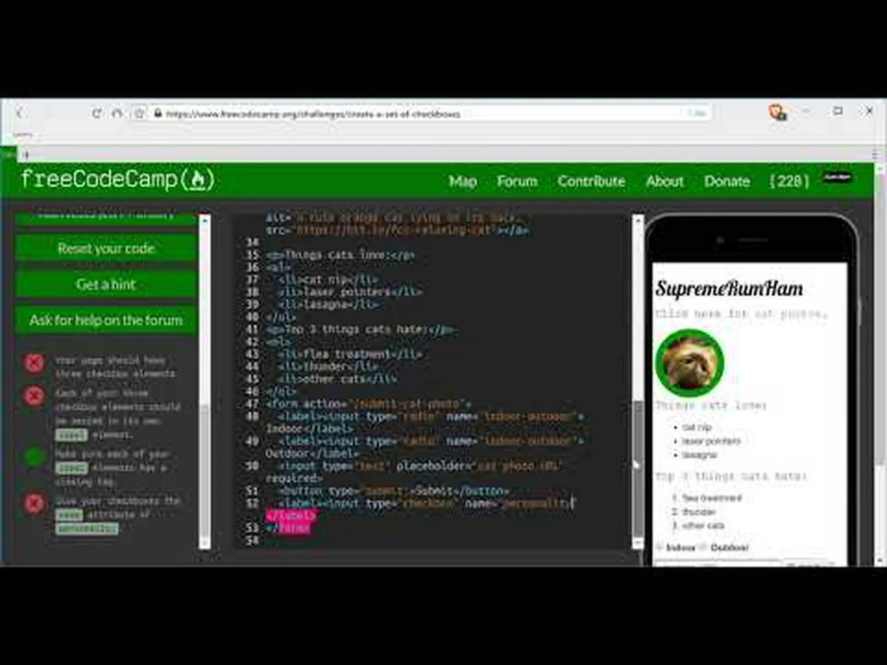Create a Set of Checkboxes- freeCodeCamp HTML5 and CSS lesson #32