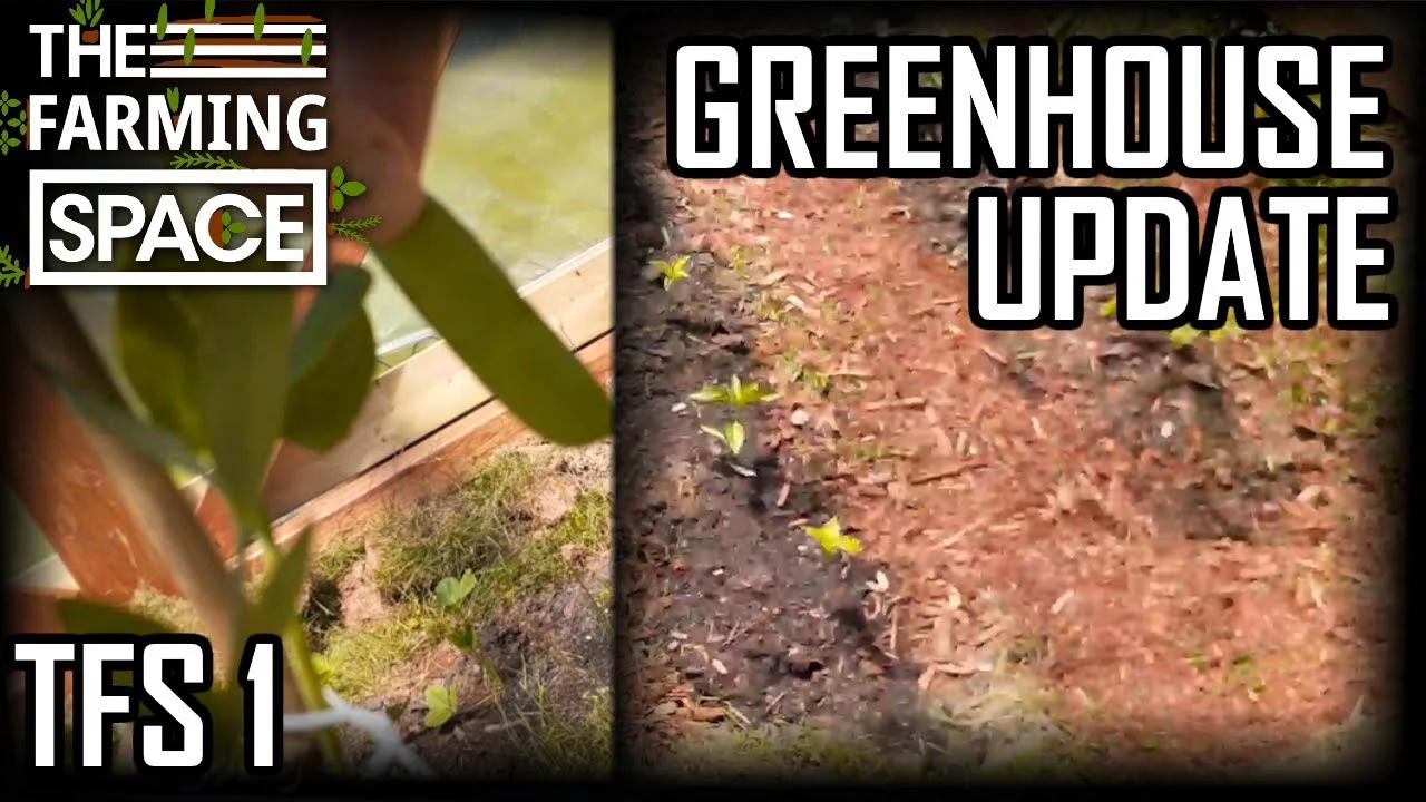 The Farming Space Ep. 1 | Greenhouse Update