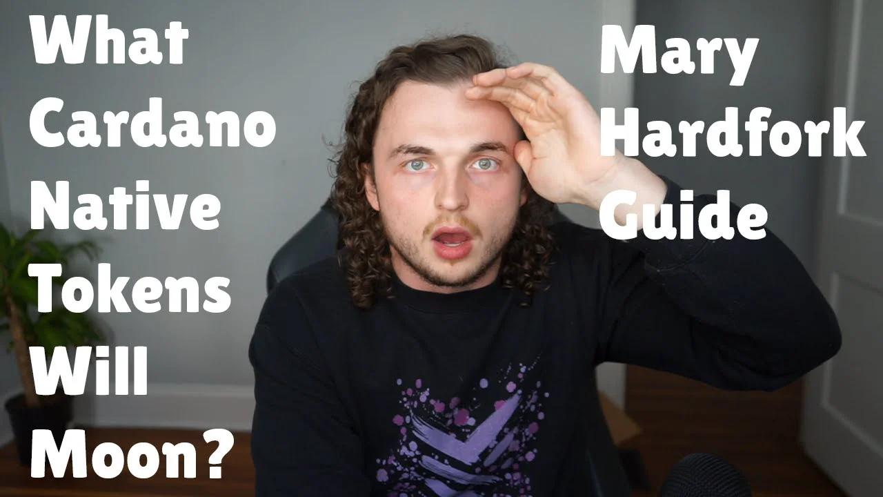 What Cardano Native Tokens Will Moon? | Mary Hardfork Guide + Bloom ...