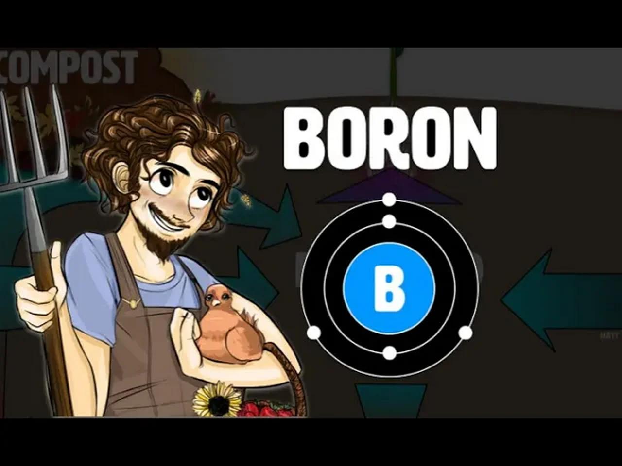 The Boron Cycle | Regenerative Soil with Matt Powers