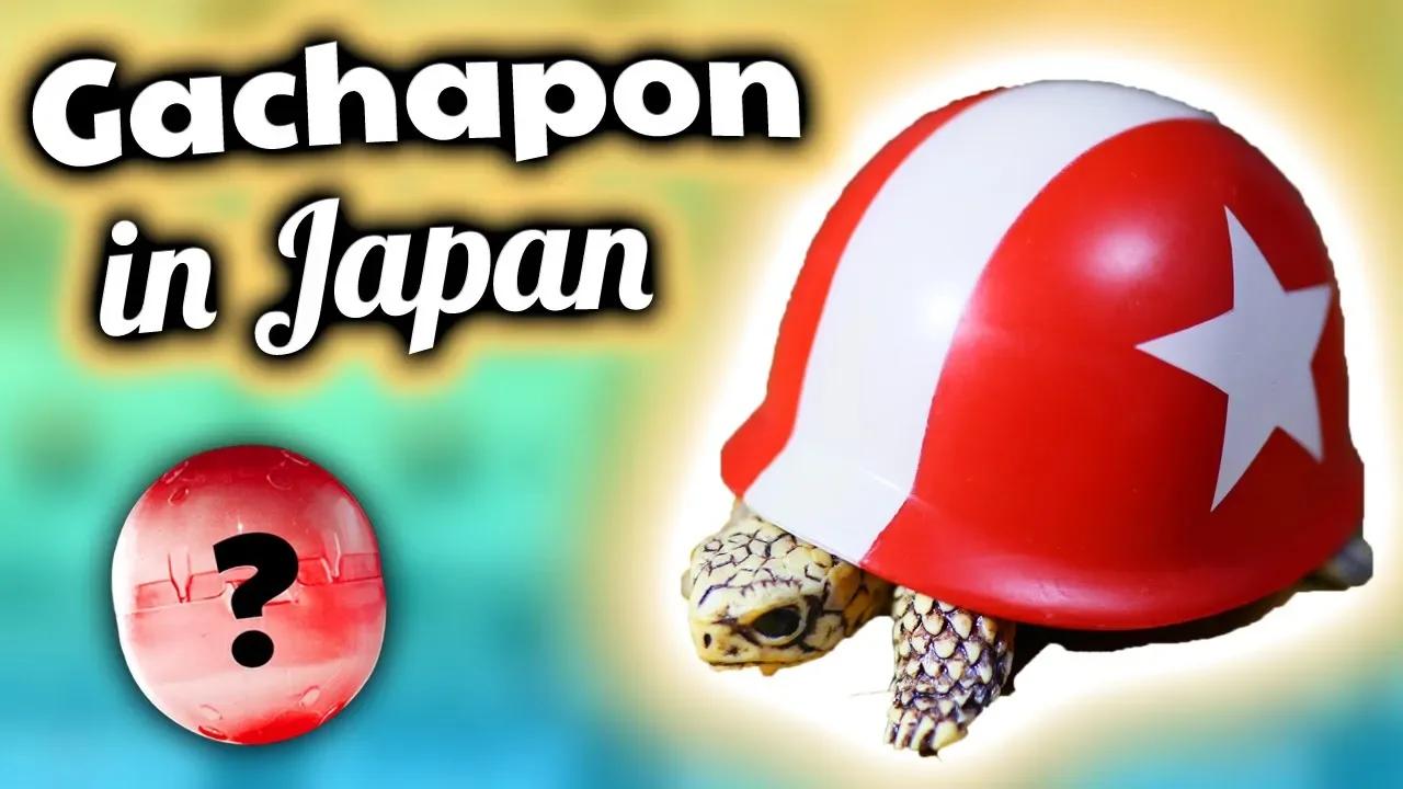 GACHAPON ZONE: Helmet Turtle Frenzy in Akihabara