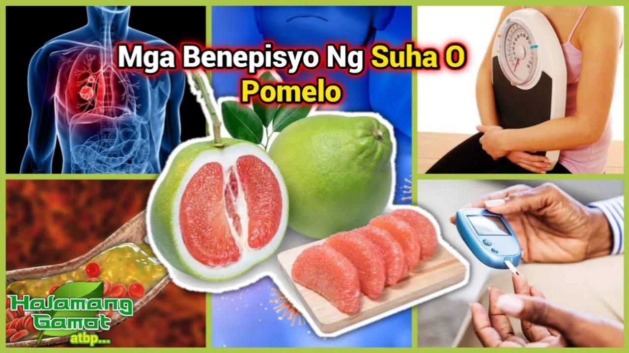 Mga Benepisyo Ng Suha Sa Ating Katawan | Halamang Gamot ATBP
