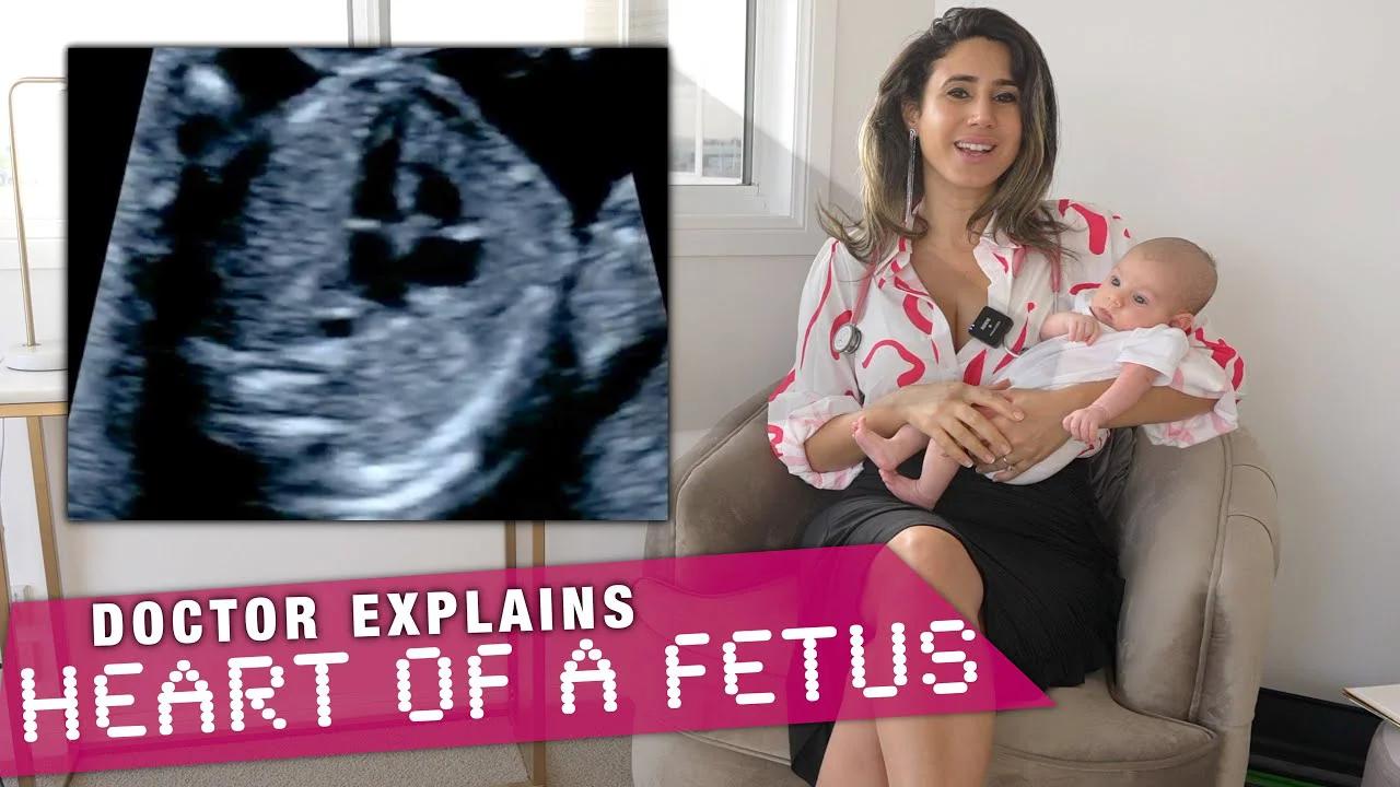 The Heart Sounds Of A Fetus In The Womb рџ Listen With Me рџ є