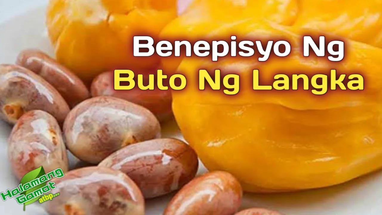 Benepisyong Maaaring Makuha Sa Mga Buto Ng Langka | Halamang Gamot ATBP