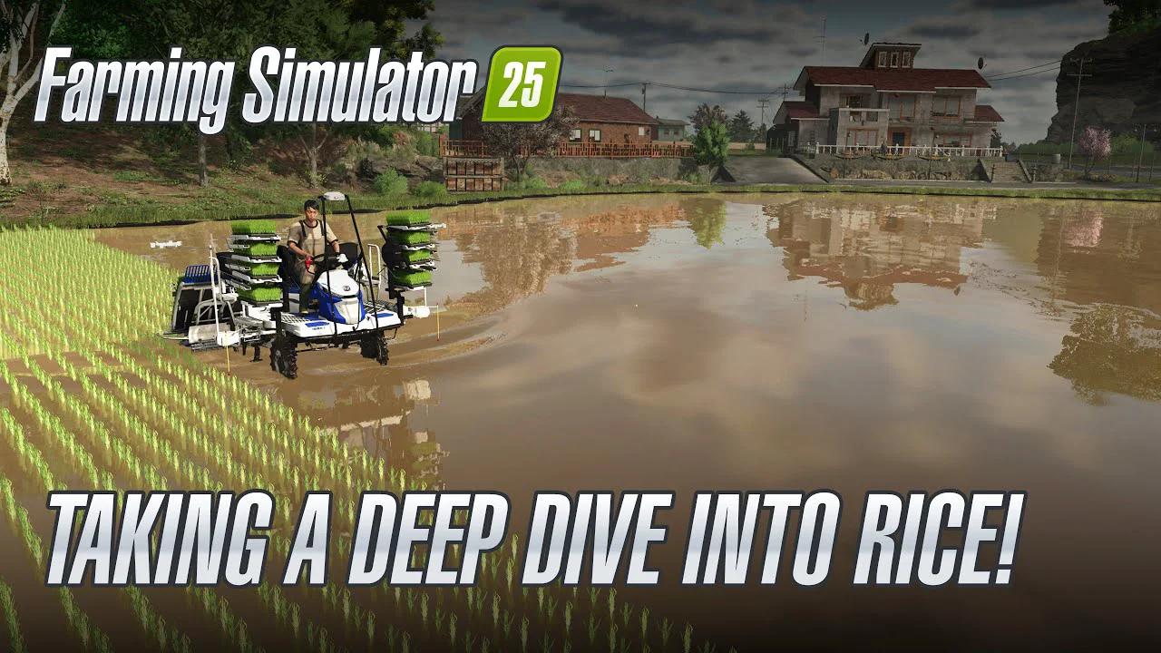 Rice in FS25 - Everything you need to know!