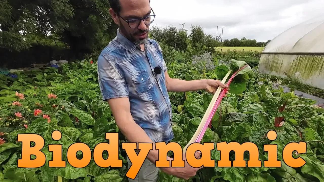 Biodynamic No Dig Market Gardening with Charles