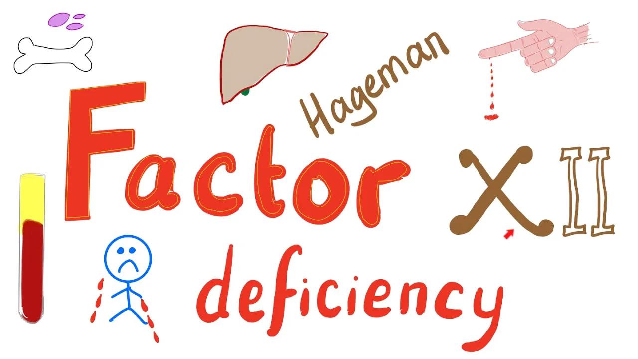 Factor XII Deficiency | Hageman Trait
