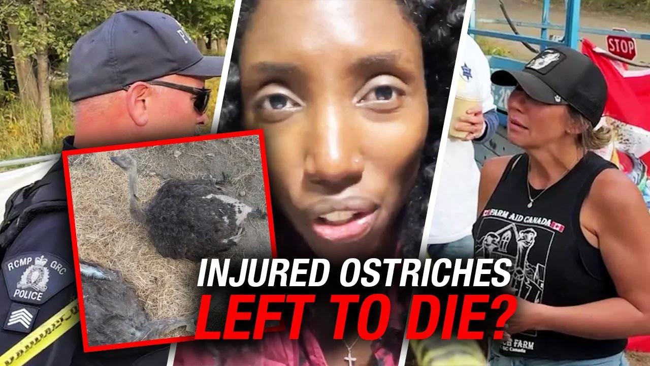 WATCH: Drea Humphrey demands justice after leaked footage of injured ...