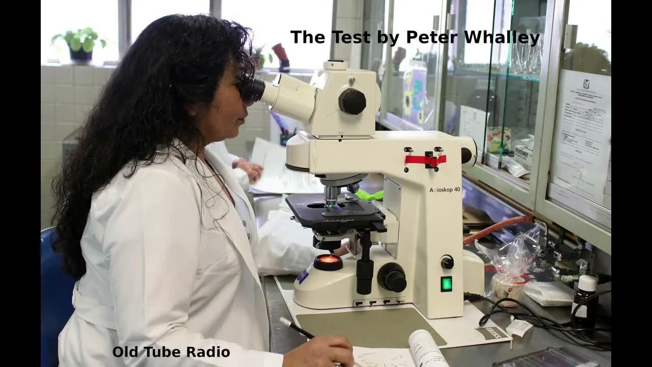 The Test by Peter Whalley