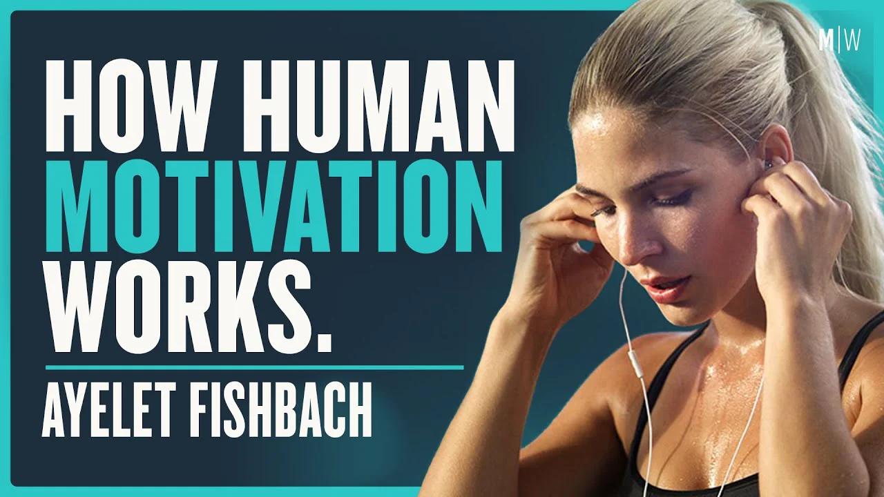 The Psychology Of Human Motivation - Ayelet Fishbach | Modern Wisdom ...