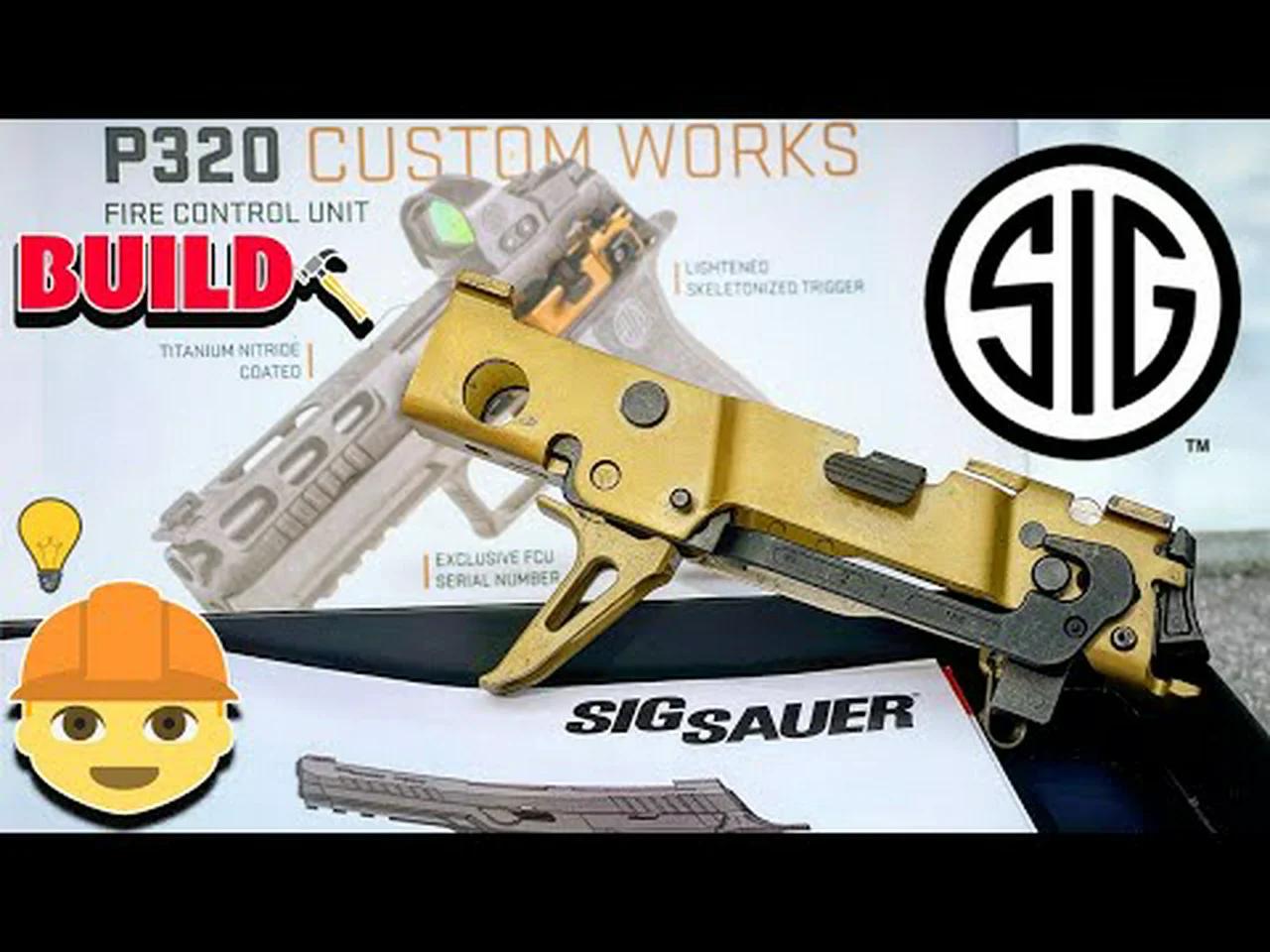 👷💡 Sky's NO LIMIT..SIG Sauer P320 P365 Custom Works FCU Fire Control ...