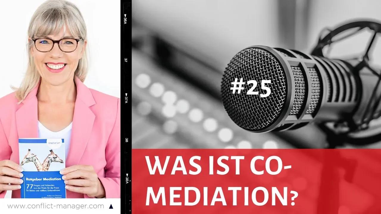 Was bedeutet Co-Mediation und wann wird mit einem Co-Mediator ...