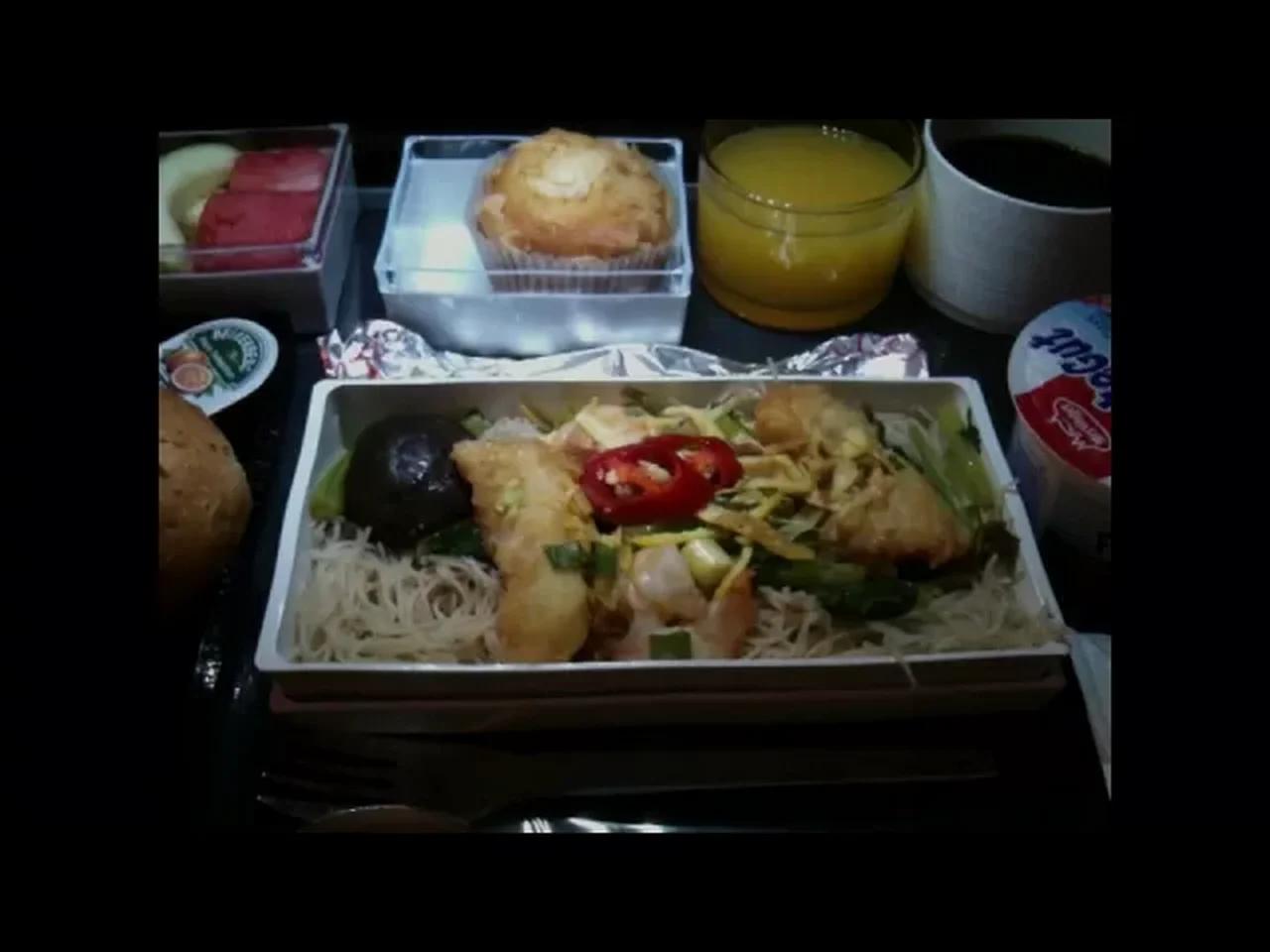 Singapore Airlines SQ336 SIN→CDG(Paris) A380-800 シンガポール航空 シンガポール→パリ