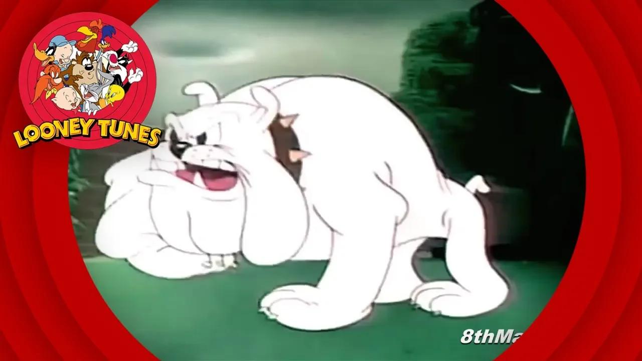 Looney Tunes - Ding Dog Daddy | Friz Freleng directed cartoon