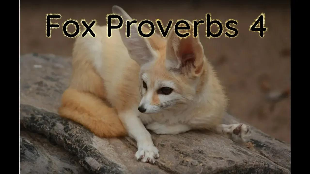 Fox Proverbs 4