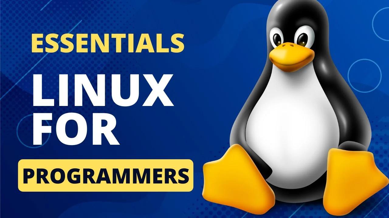 Mastering Linux Commands for Programmers: A Comprehensive Guide #linux ... Mastering Linux Commands for Programmers: A Comprehensive Guide #linux ...