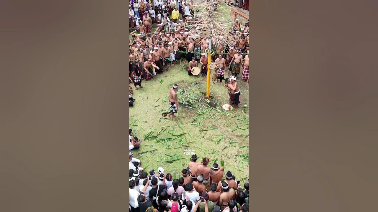 Perang Pandan Tenganan Dauh Tukad #PerangPandan #MekareKare # ...