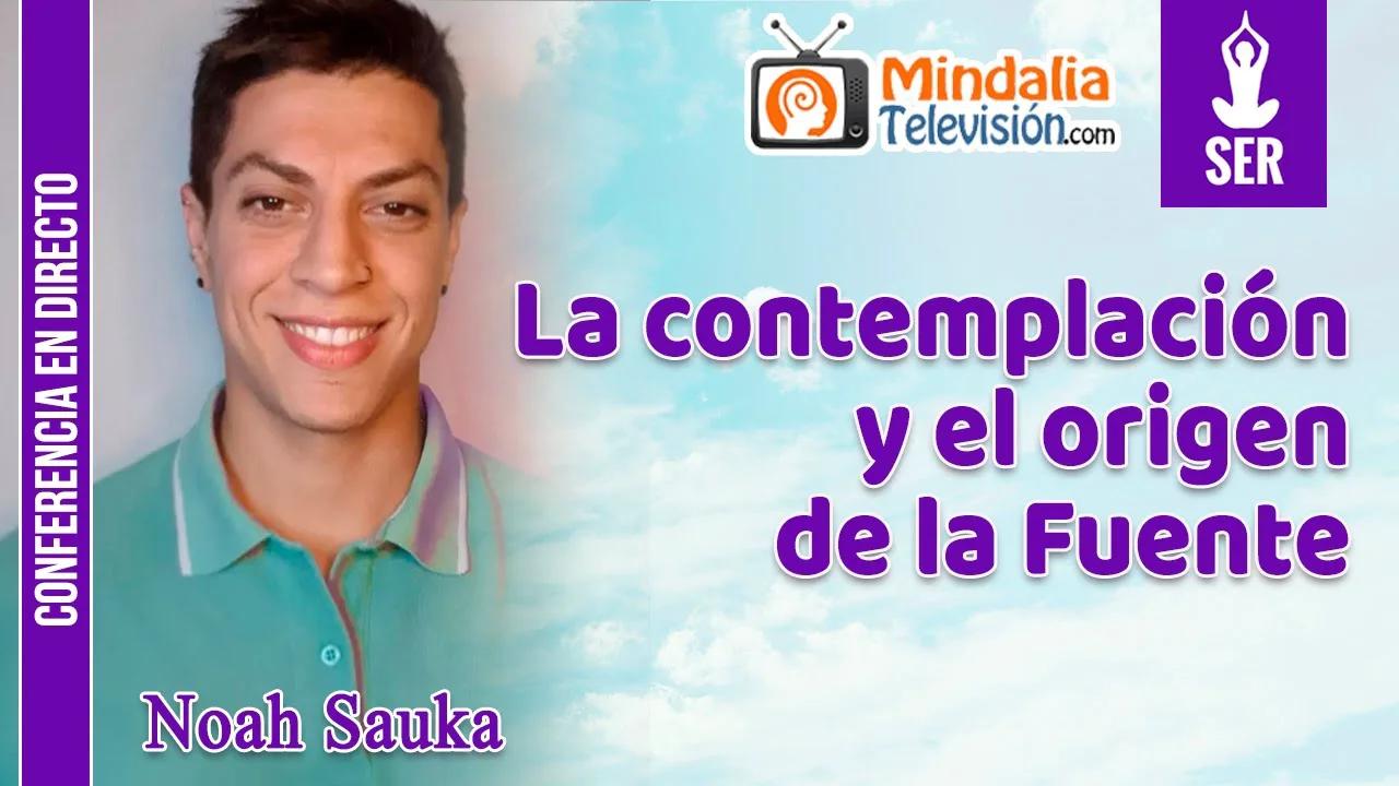 La contemplación y el origen de la Fuente, por Noah Sauka